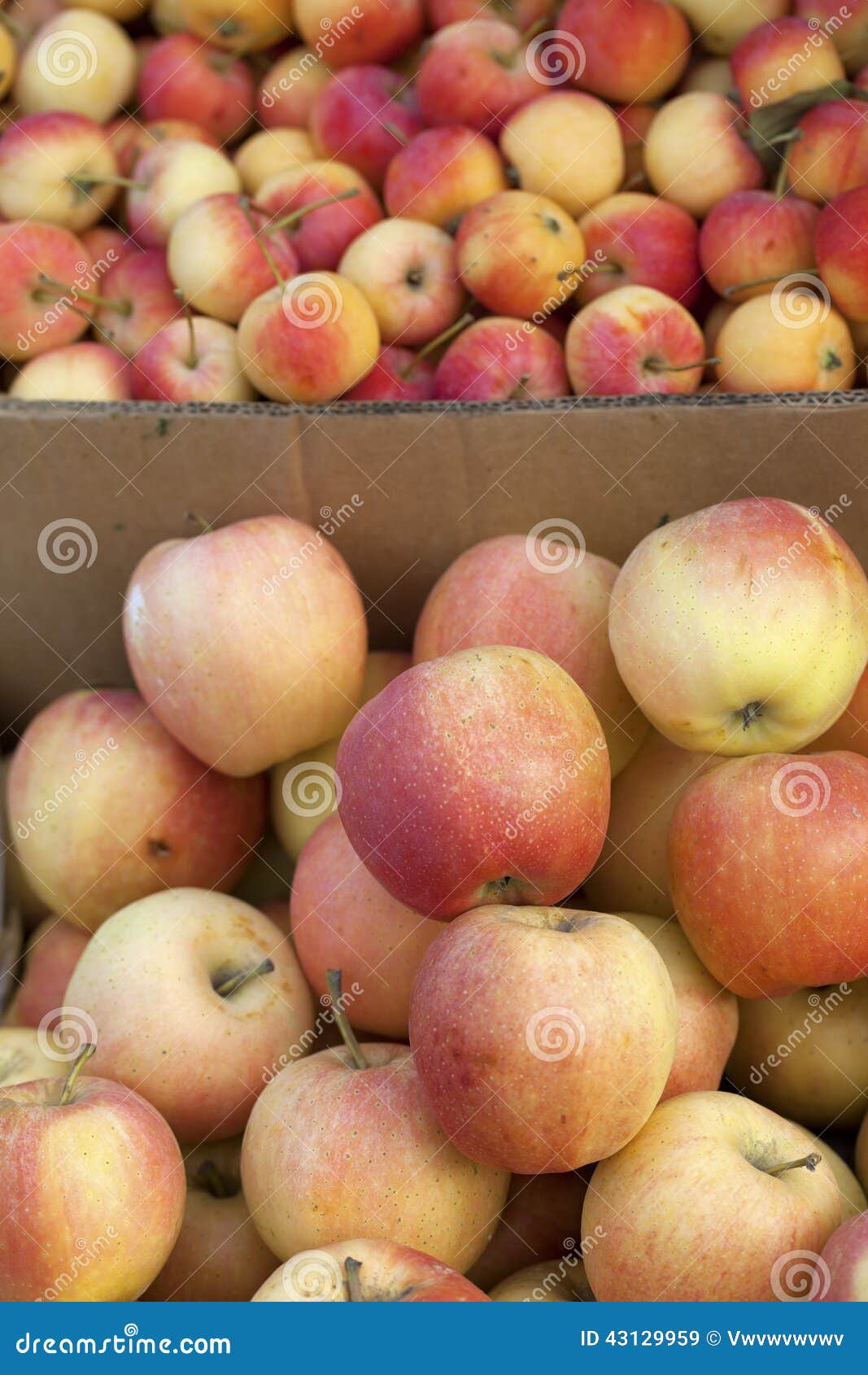 Boxes of apples stock image. Image of fresh, background - 43129959