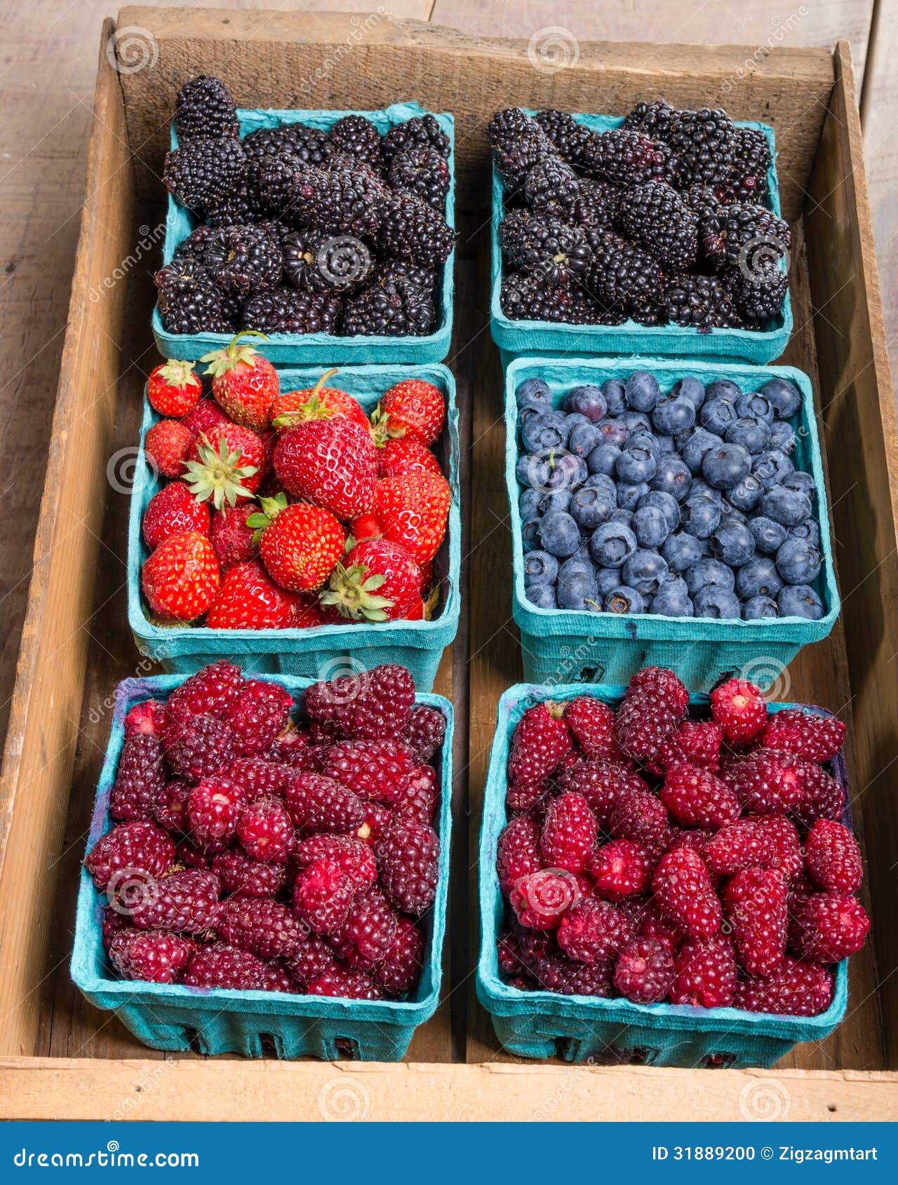 Boxes of Fresh Berries Just Picked at the Market Stock Photo - Image of ...