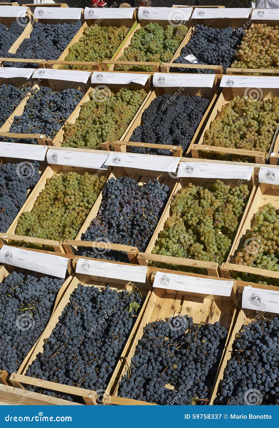 Boxes of grapes stock image. Image of variety, table - 59758337