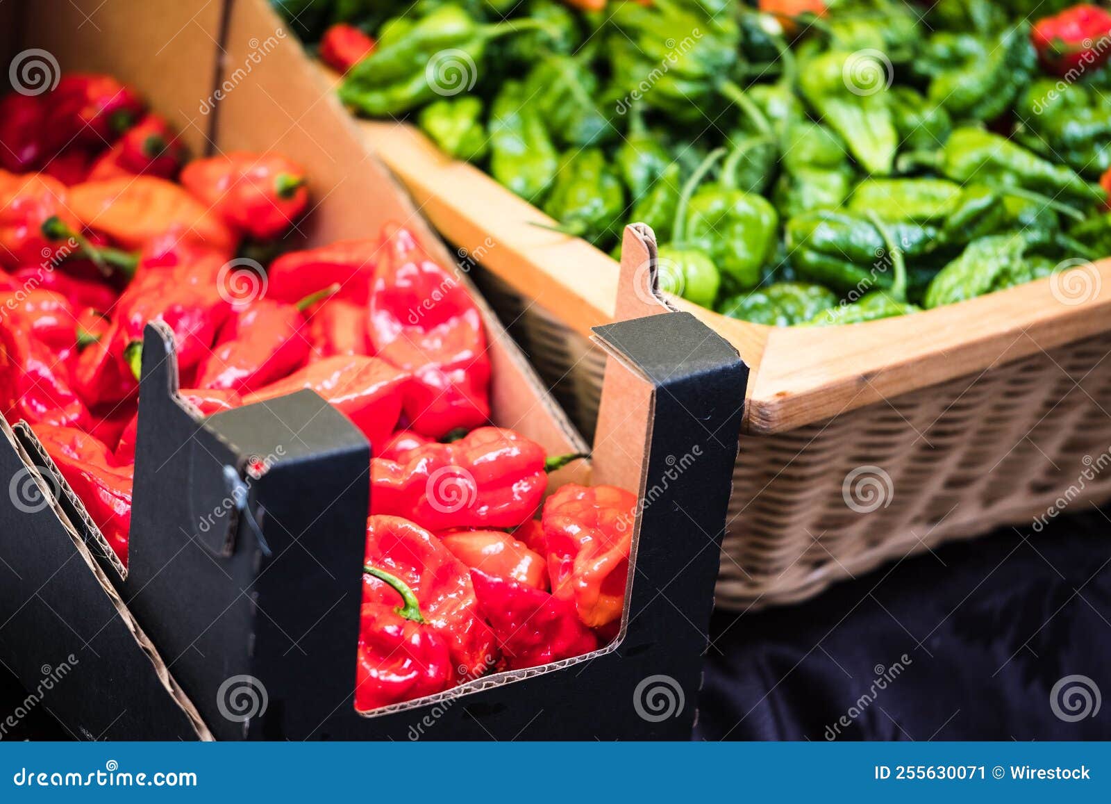 Boxes with Green and Red Habanero Peppers Stock Image - Image of ...