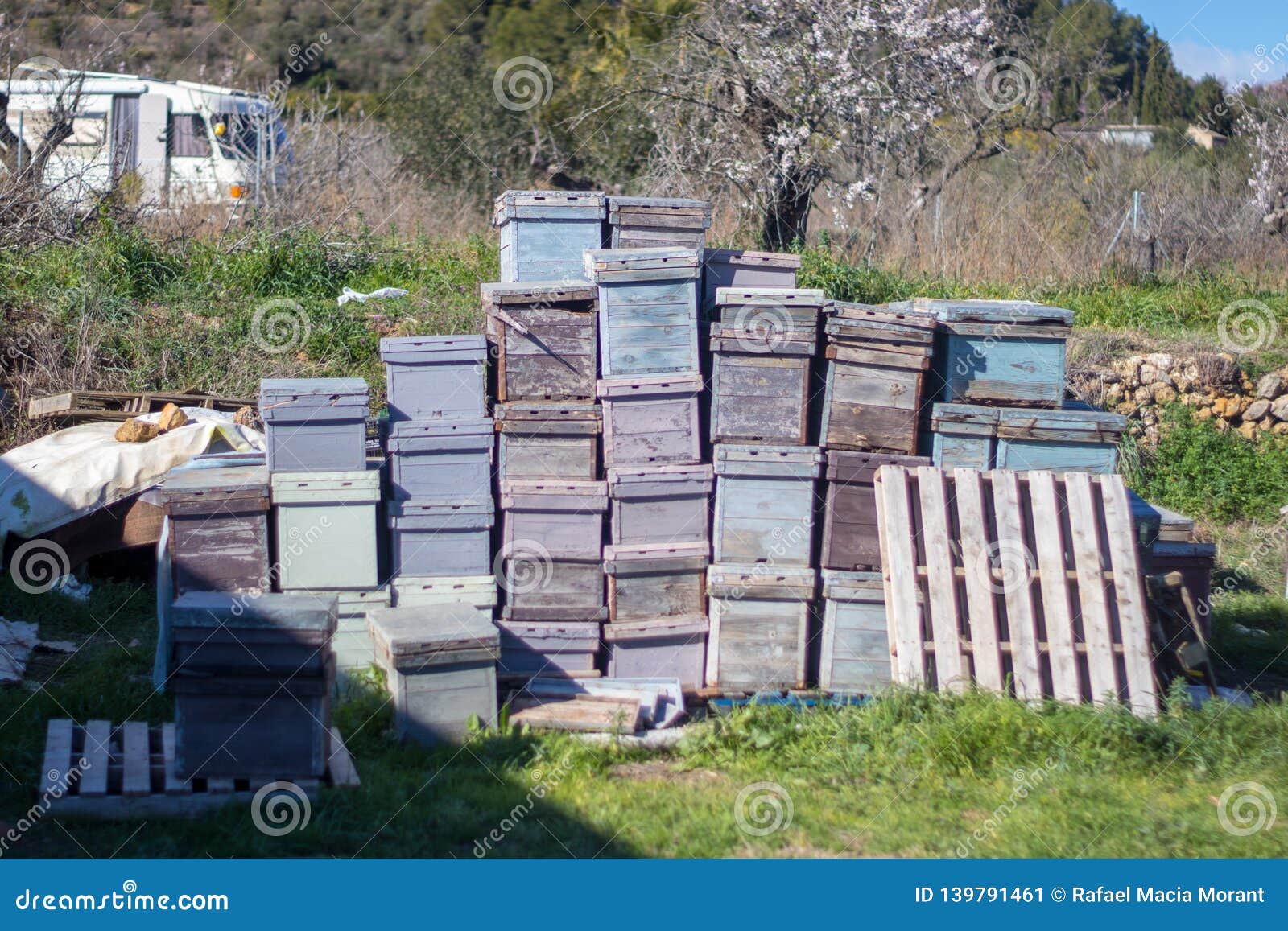 Boxes of Honey Combs Stacked Unused Stock Image - Image of beekeeping ...