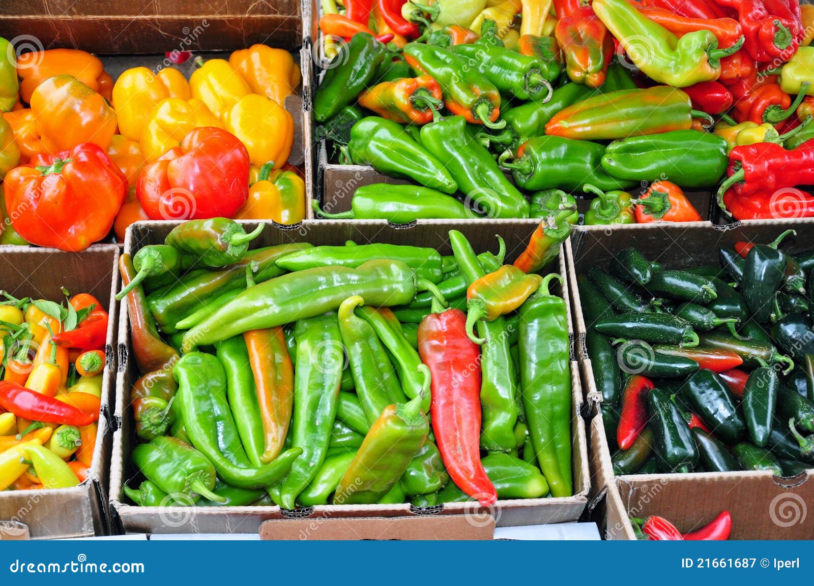 Boxes of peppers stock image. Image of salad, produce - 21661687