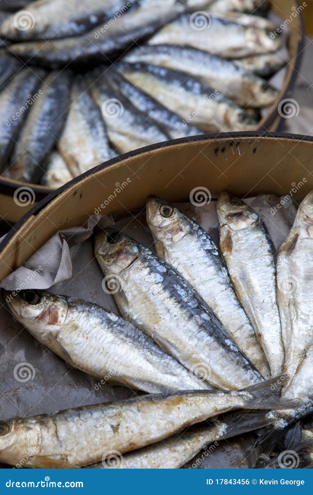 Boxes of Sardines stock photo. Image of food, fish, market - 17843456