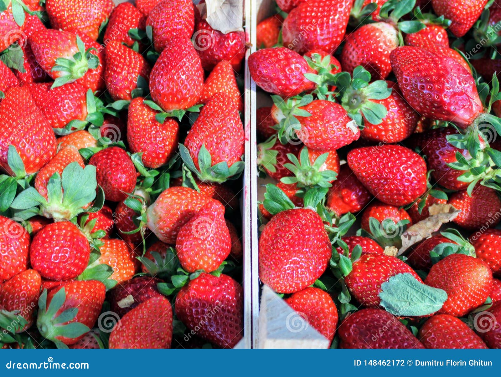 Boxes with Tasty Red Strawberries Stock Photo - Image of repeat ...