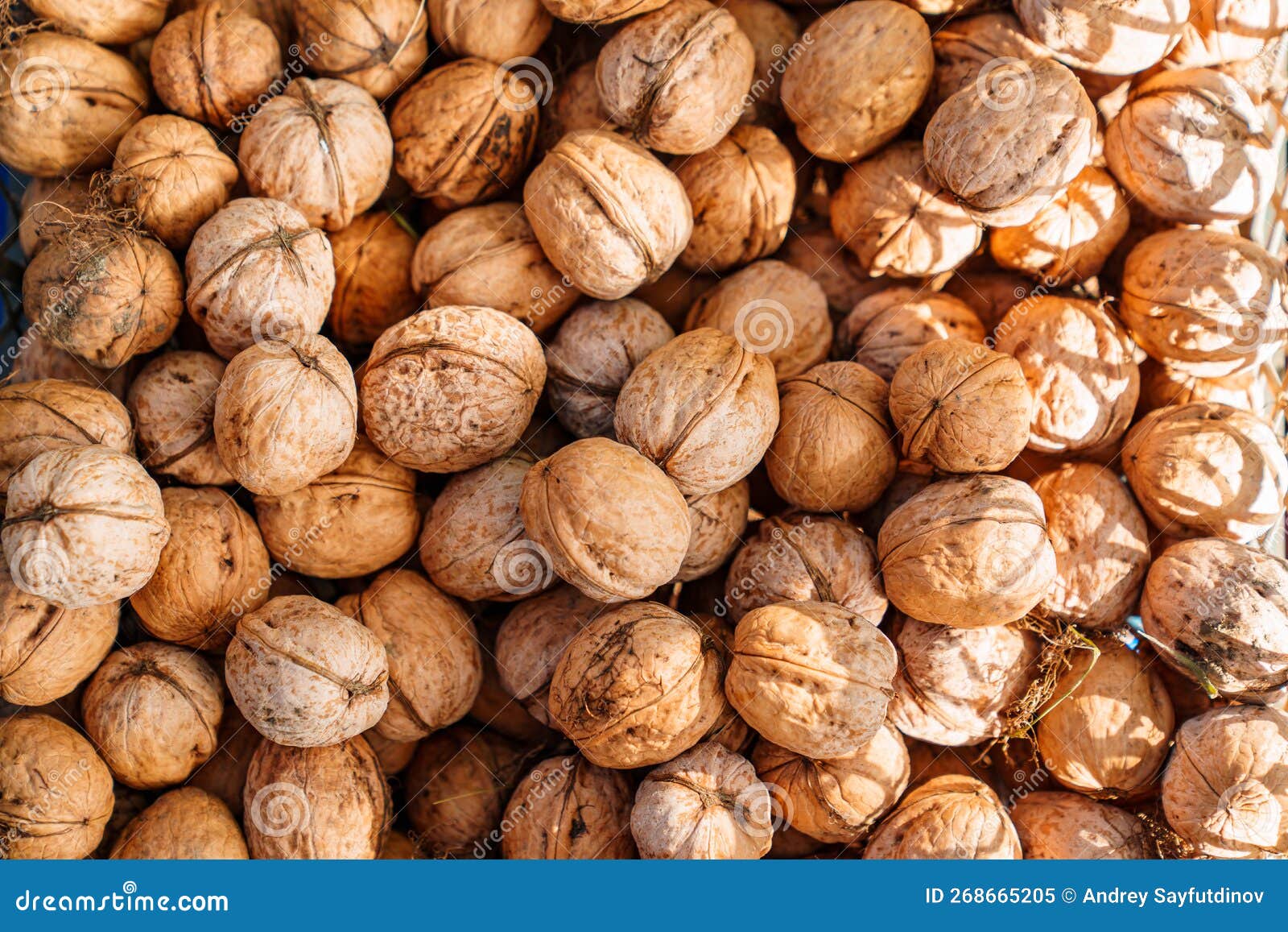 Boxes of Walnuts. Harvesting Nuts on the Farm. Stock Image - Image of ...