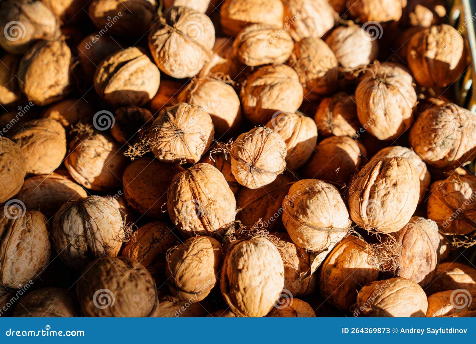 Boxes of Walnuts. Harvesting Nuts on the Farm. Stock Image - Image of ...