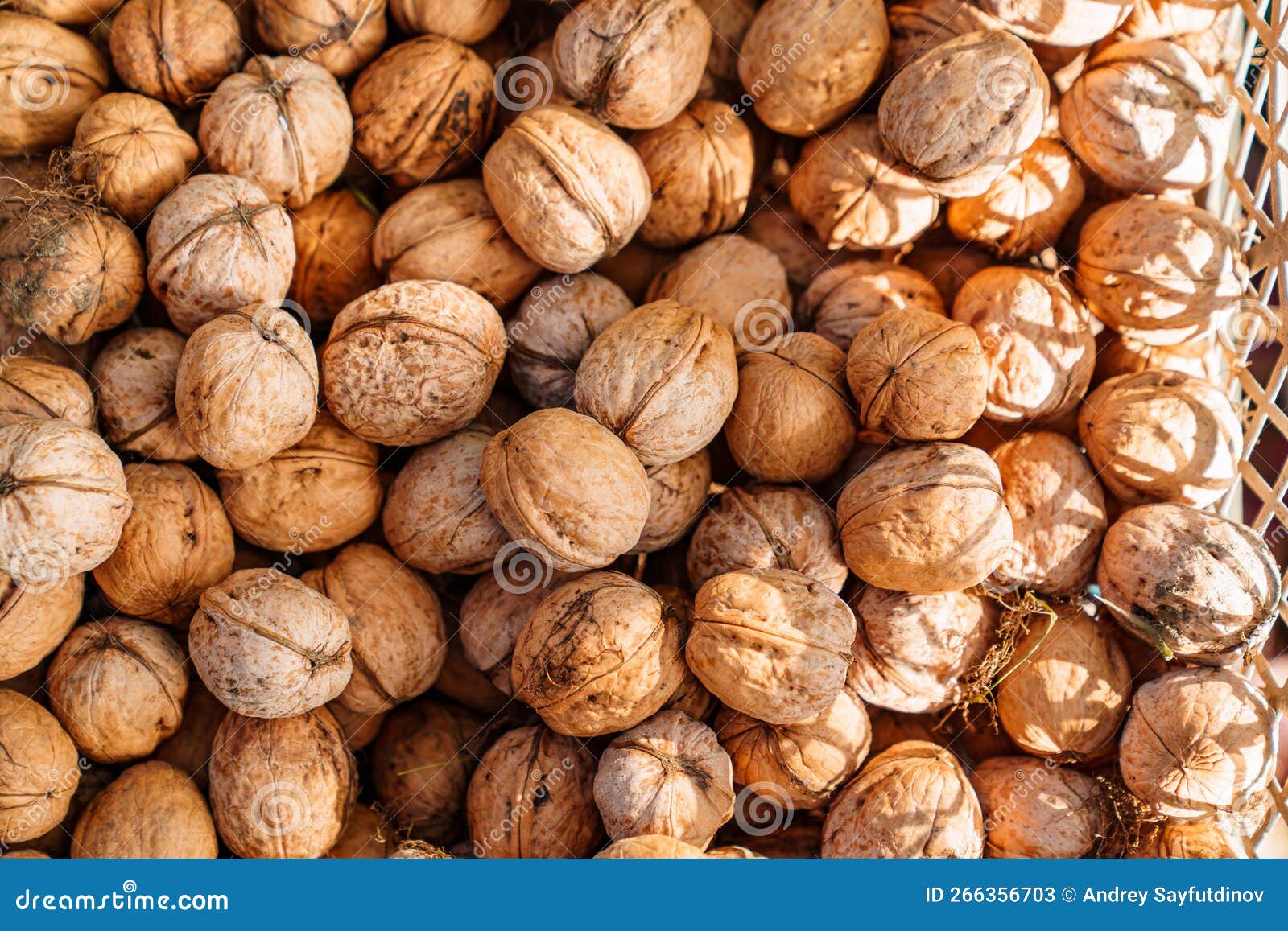 Boxes of Walnuts. Harvesting Nuts on the Farm. Stock Image - Image of ...