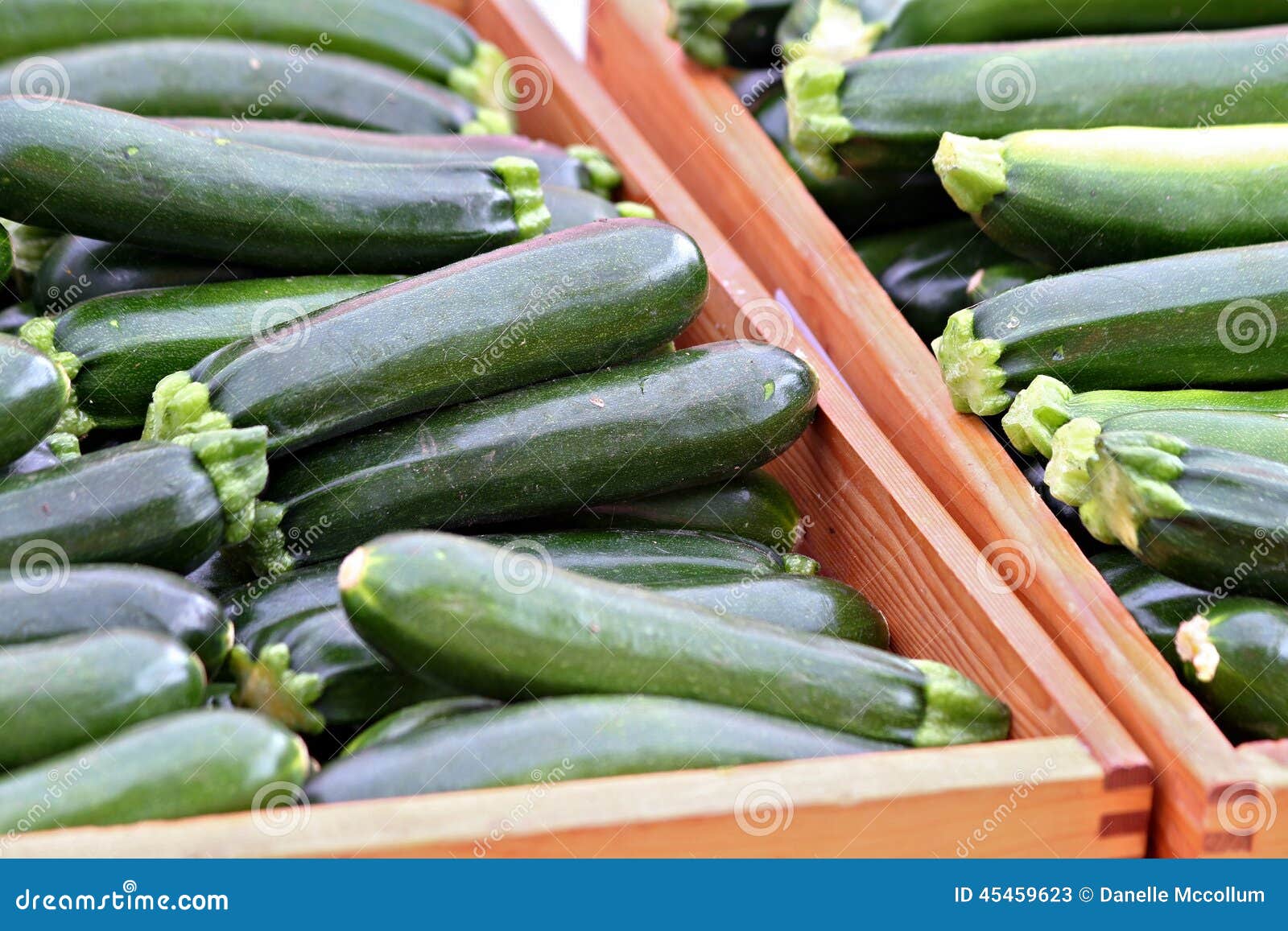 Boxes of Zucchini stock image. Image of harvest, market - 45459623