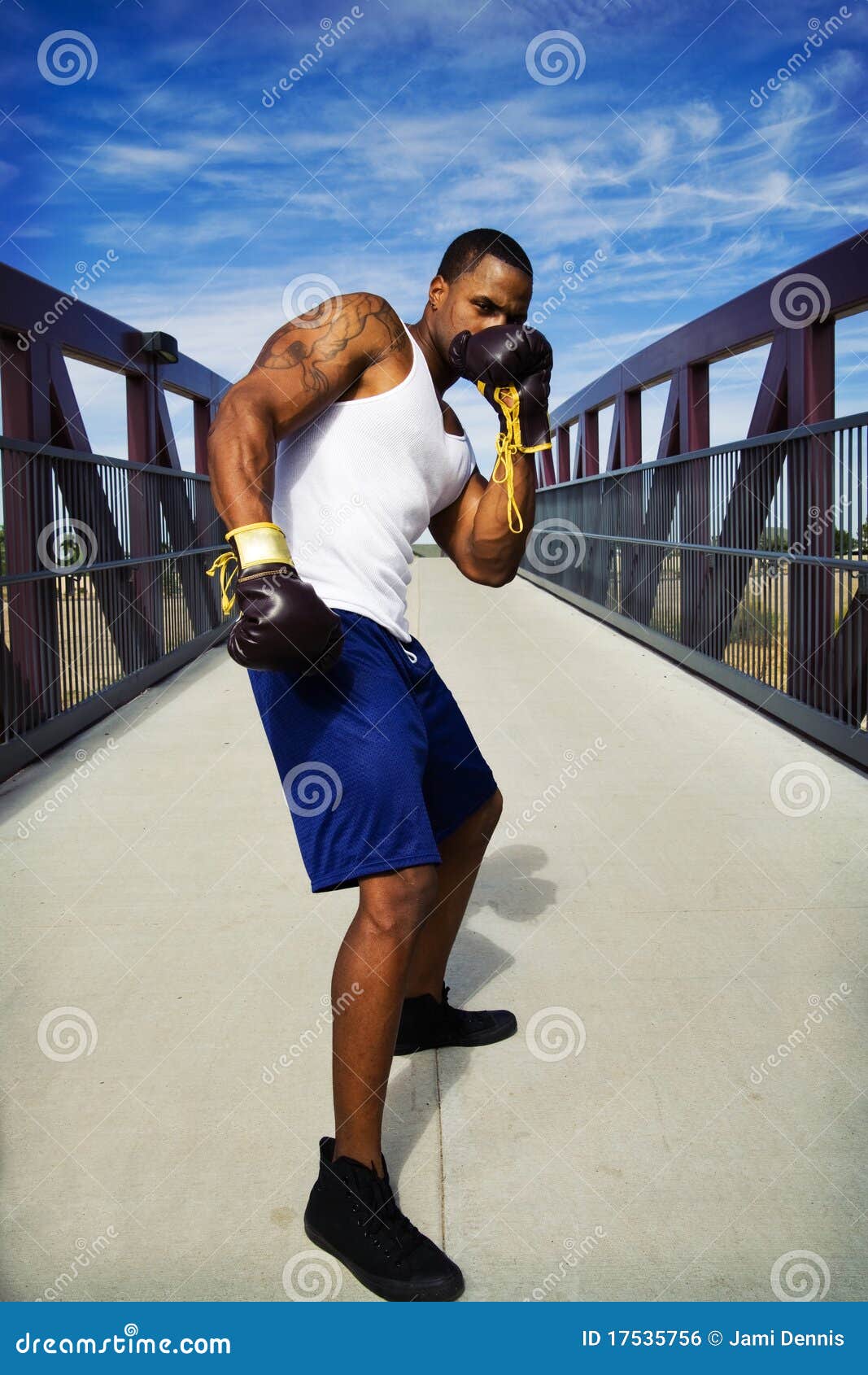 Boxeur photo stock. Image du muscle, sport, adulte, gants - 17535756