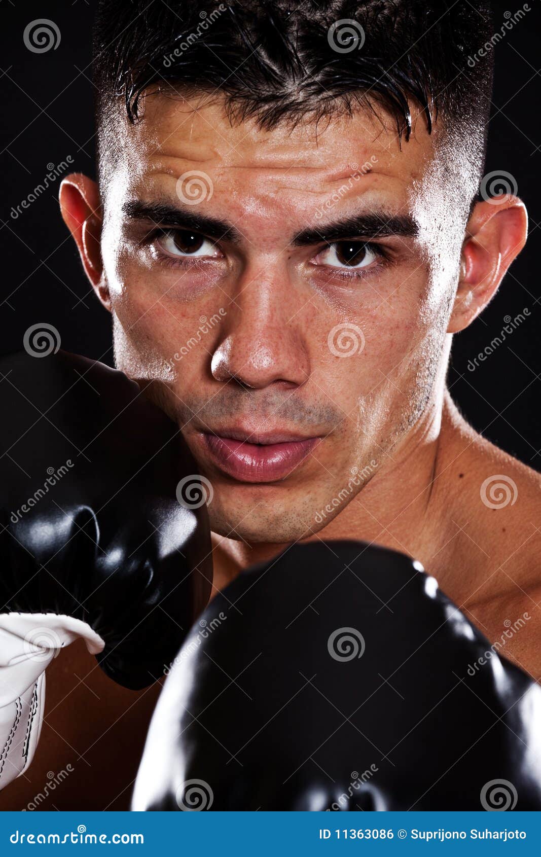 Boxeur hispanique photo stock. Image of mexicain, fuselage - 11363086