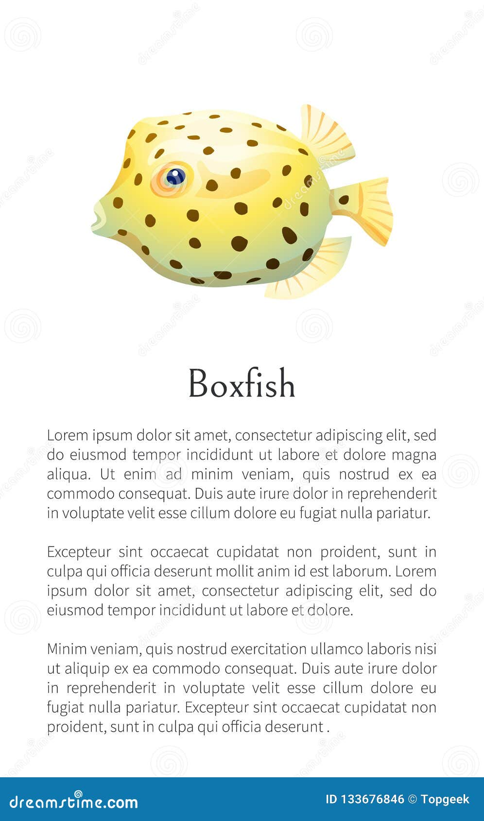 Boxfish Animal Poster Set Vector Illustration Stock Vector ...