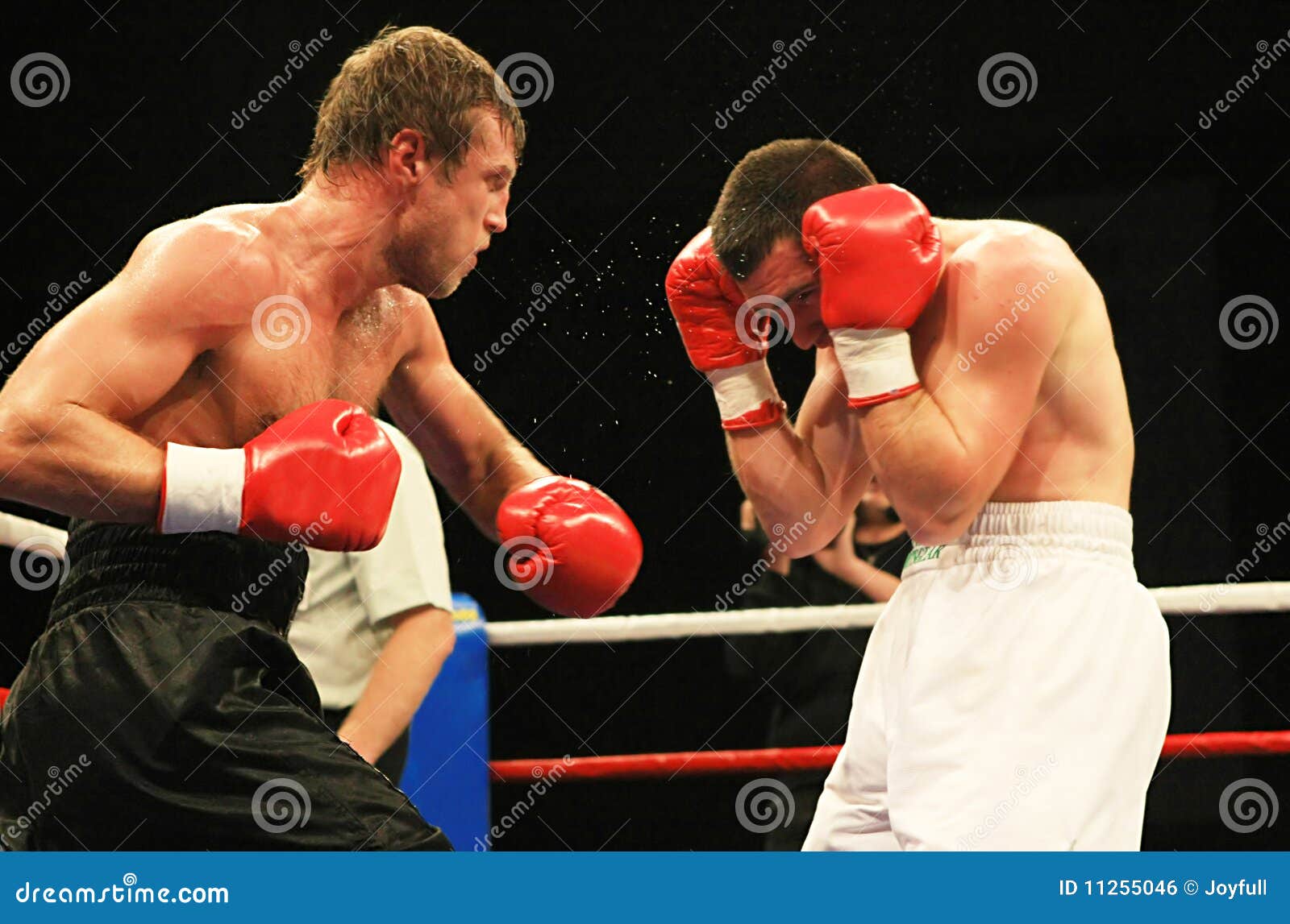 Boxing editorial photo. Image of professional, protection - 11255046