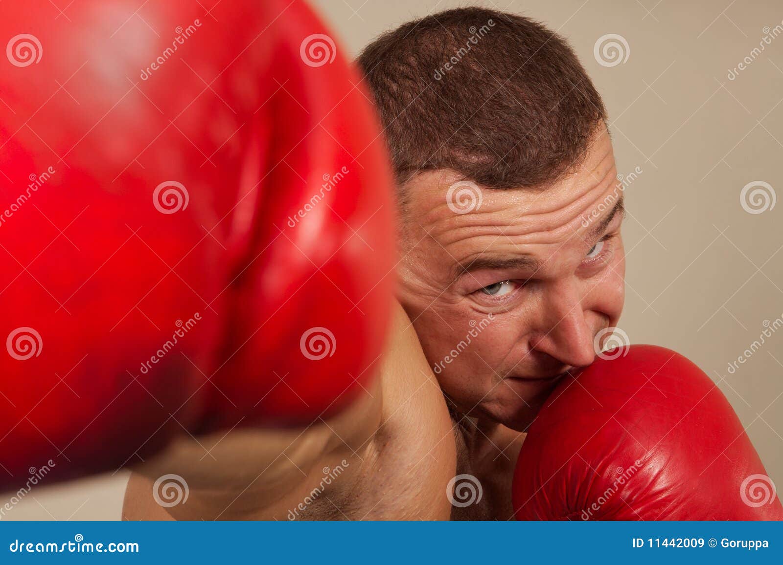 Boxing stock image. Image of face, aggression, muscle - 11442009