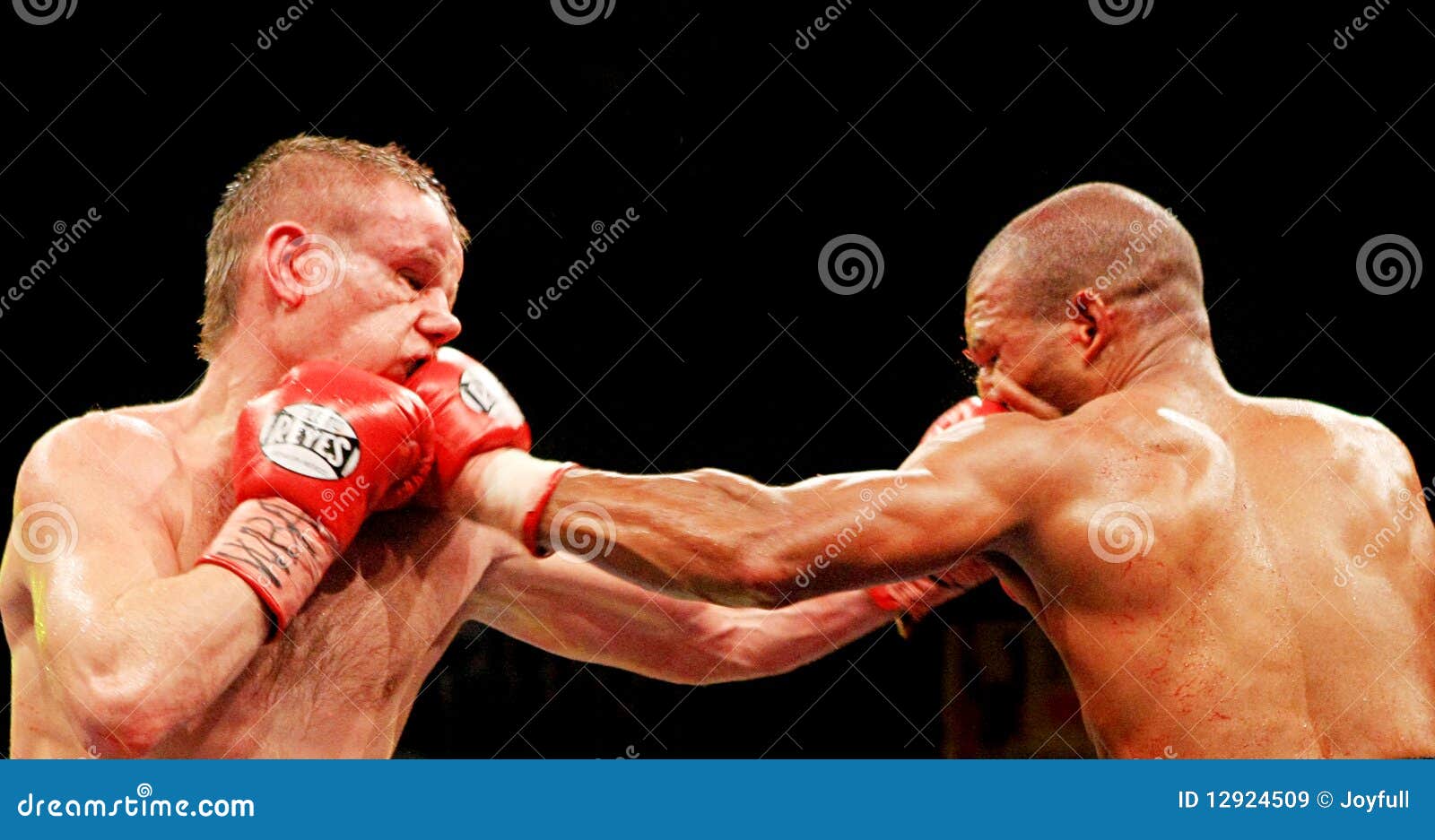 Boxing editorial stock image. Image of competition, protection - 12924509