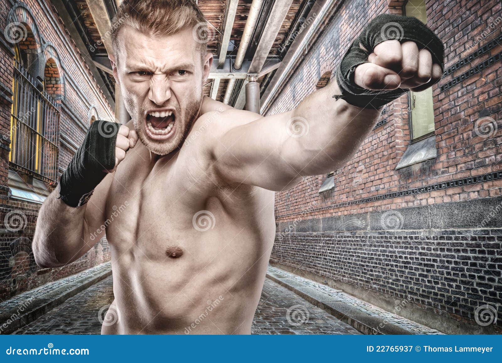 Boxing stock image. Image of muscle, male, boxer, looking - 22765937
