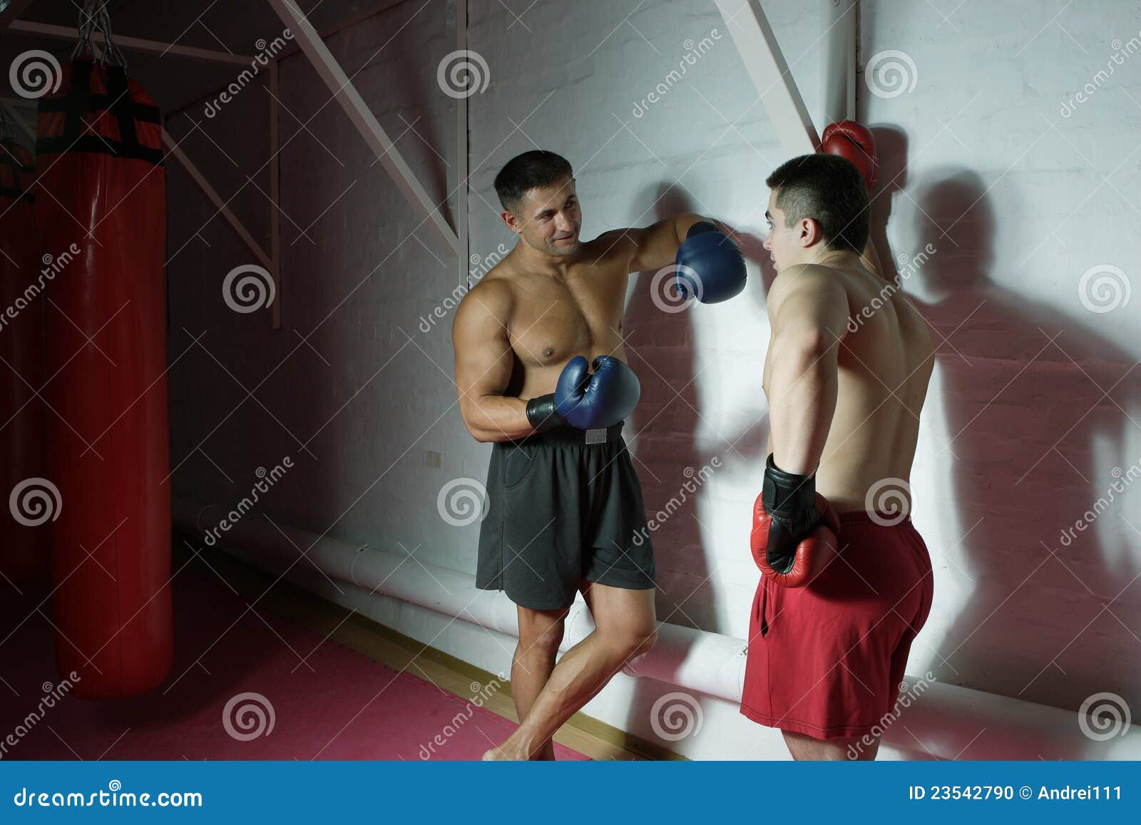 Boxing stock photo. Image of aggression, boxers, fist - 23542790