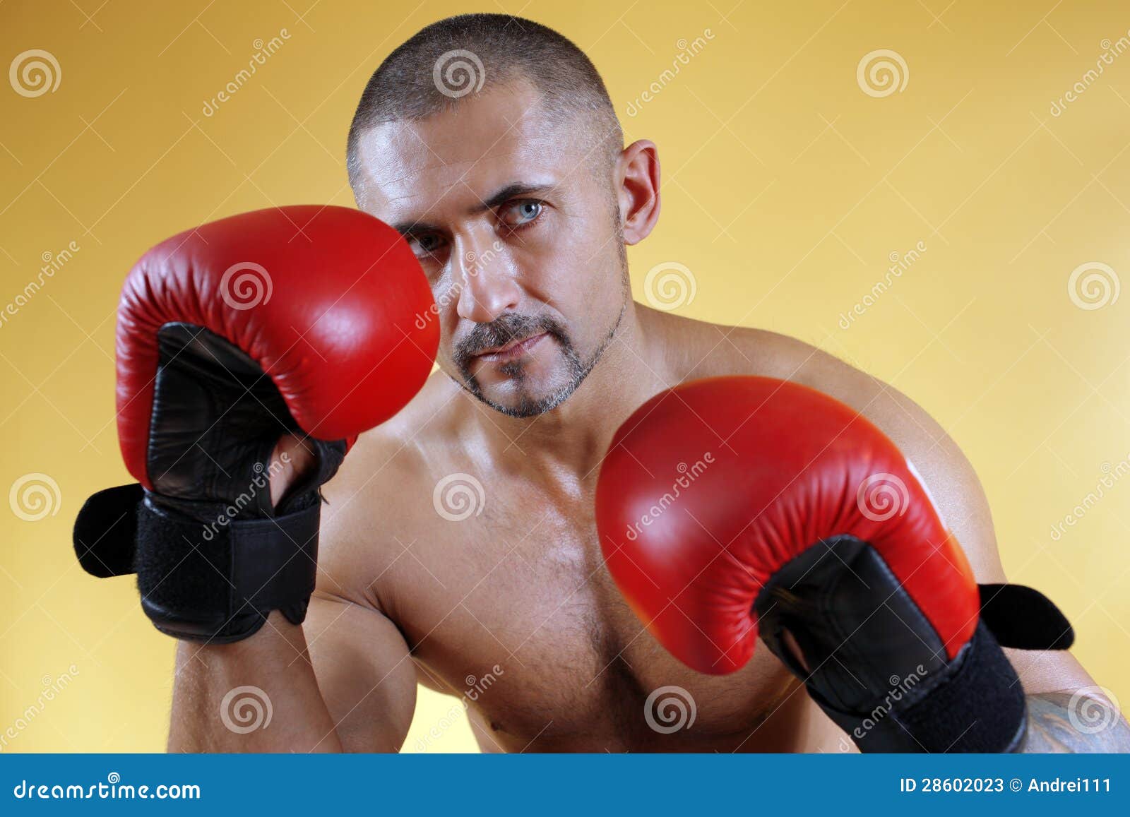 Boxing stock image. Image of male, fighting, hand, anger - 28602023