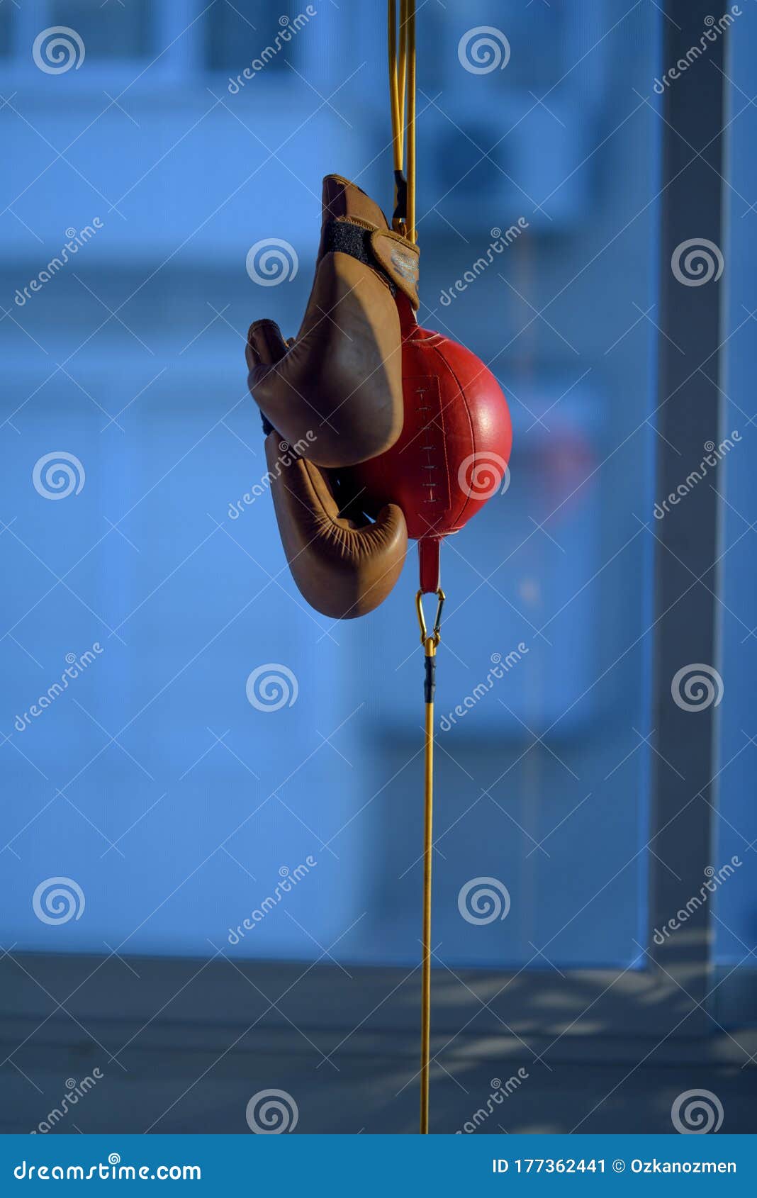 Boxing Ball, Punch Ball with Boxing Gloves Stock Image - Image of ...