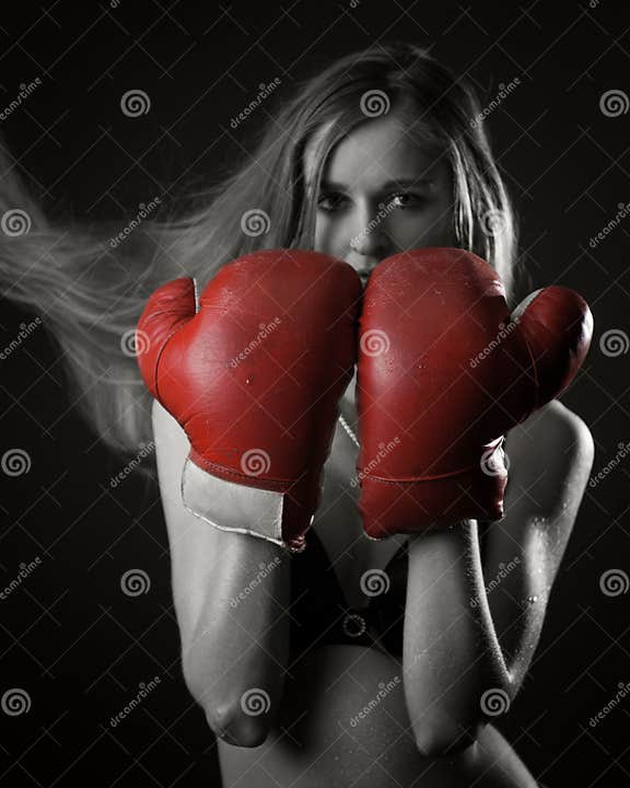 Boxing beauty stock photo. Image of dewdrops, portrait - 22724354