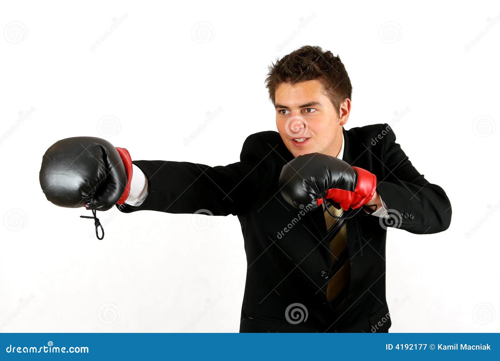 Boxing businessman stock image. Image of adult, boxer - 4192177