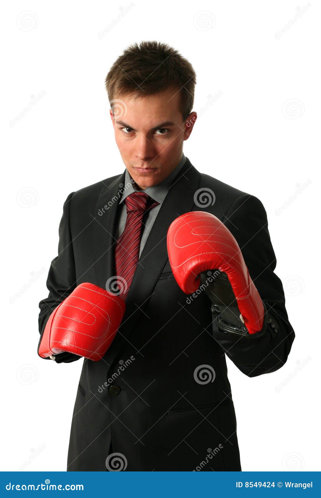 Boxing Businessmen stock photo. Image of handsome, formal - 8549424