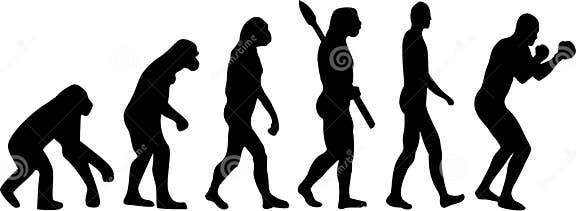 Boxing Evolution stock vector. Illustration of boxing - 85850654