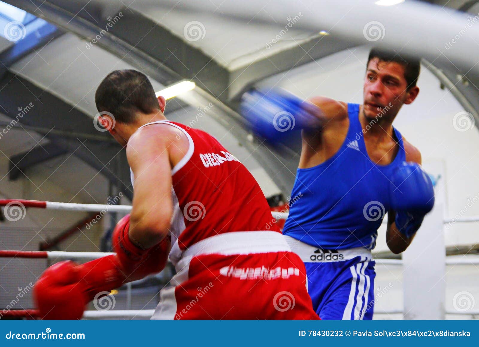 Boxing fight editorial photography. Image of bratislava - 78430232