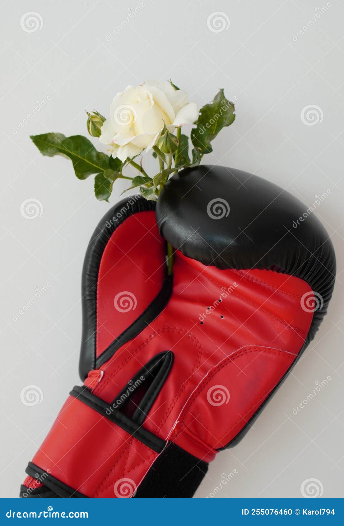 Boxing glove stock photo. Image of boxer, knockout, glove - 255076460