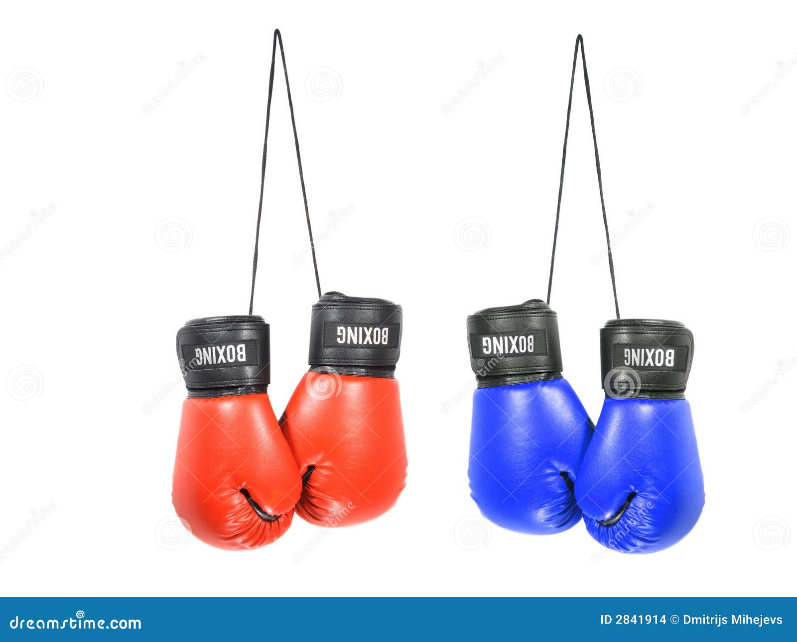 Boxing gloves stock photo. Image of winning, sports, hanging - 2841914