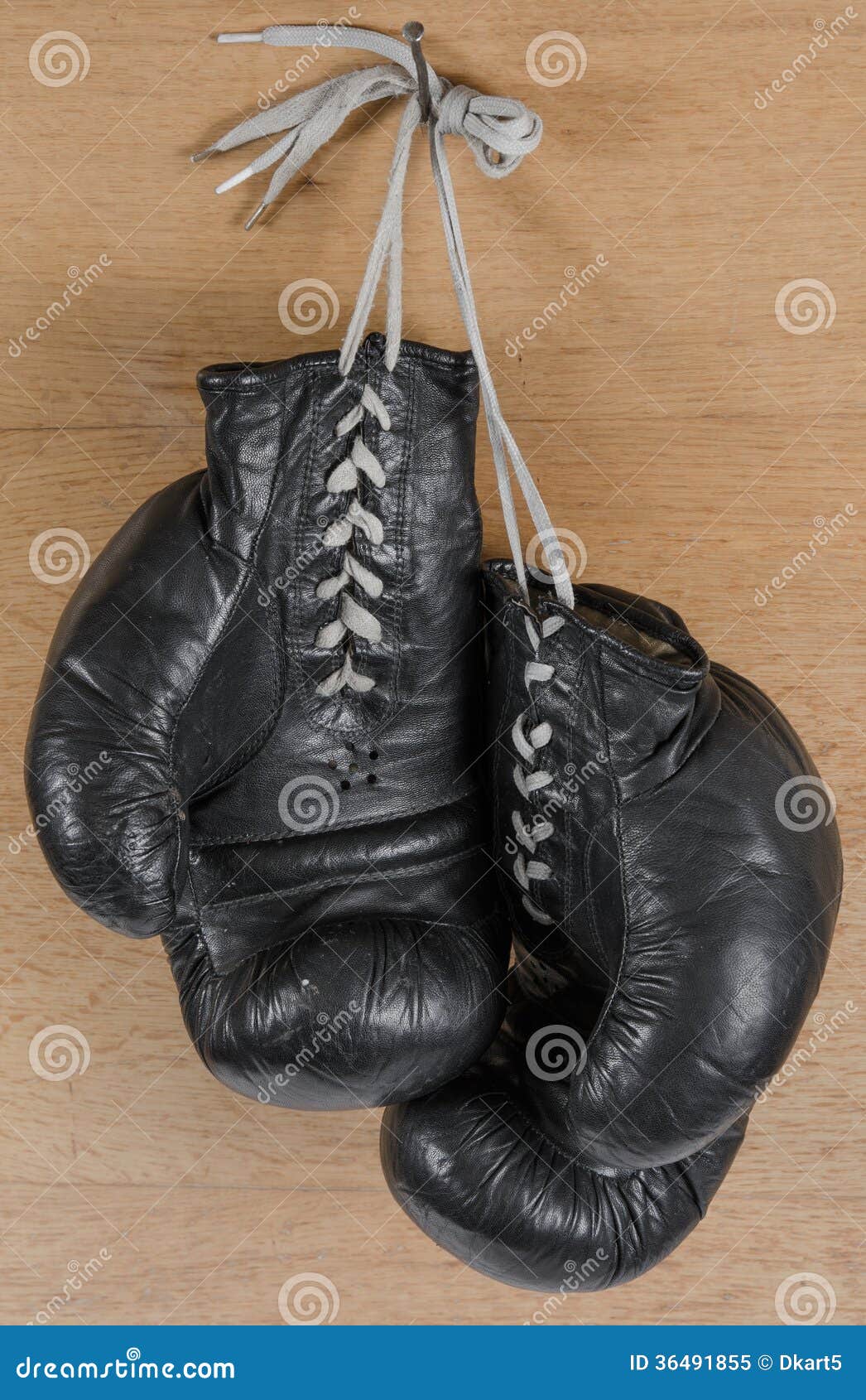 Boxing gloves stock image. Image of activity, gloves - 36491855