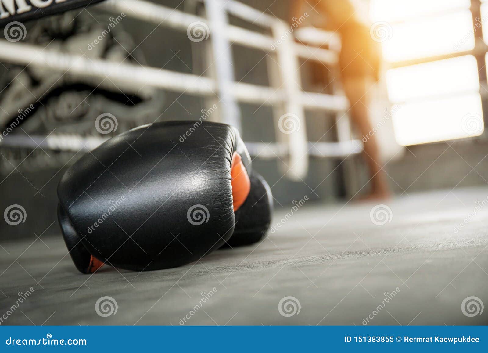 Boxing gloves on ring stock image. Image of bright, still - 151383855