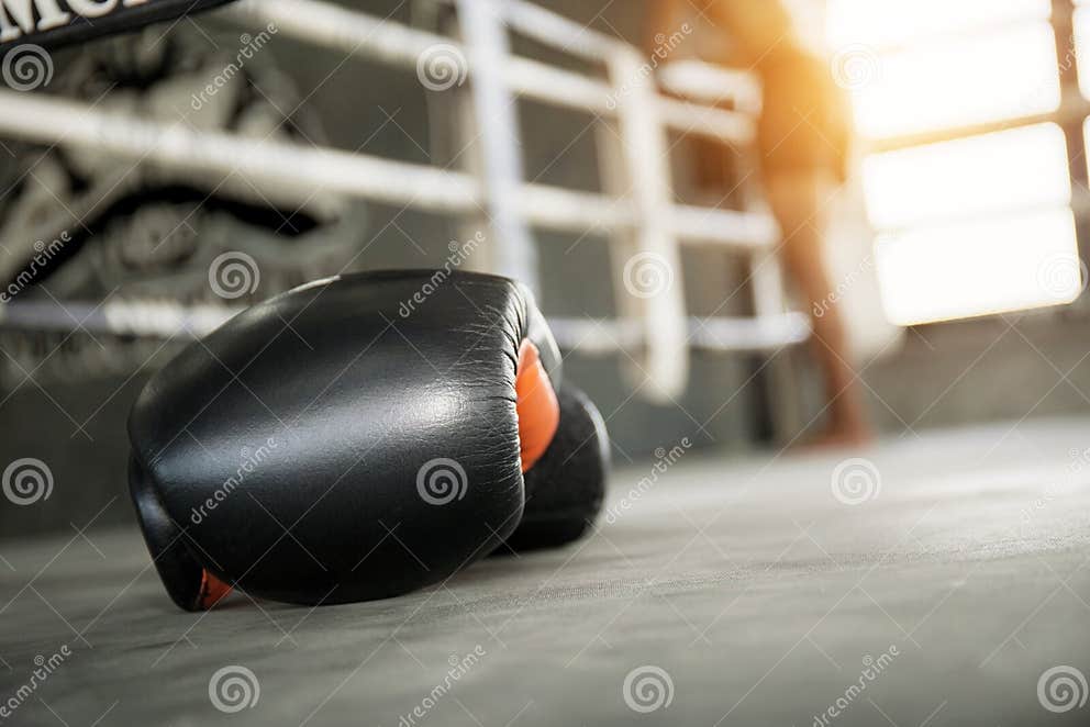 Boxing gloves on ring stock image. Image of bright, still - 151383855