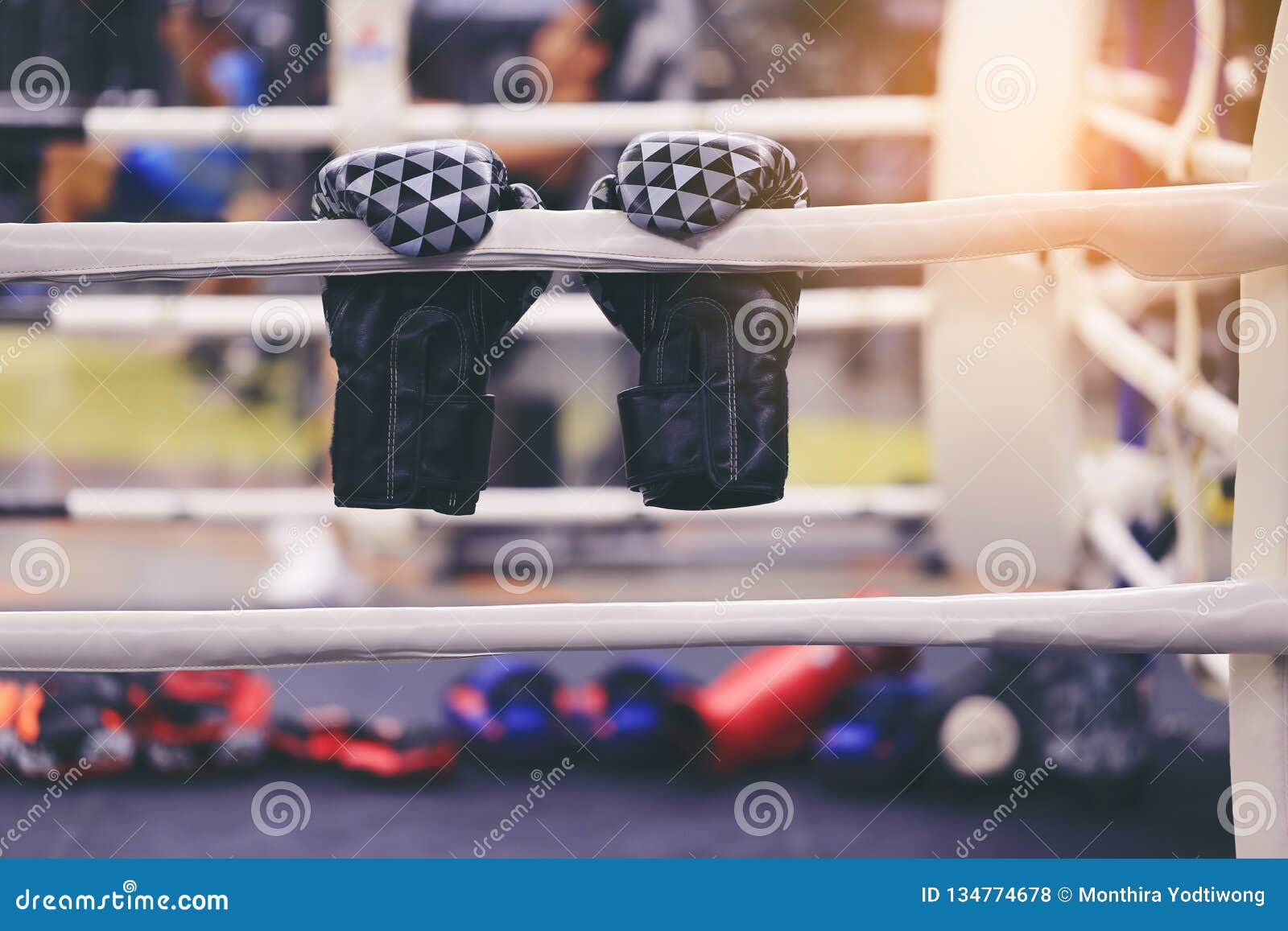 Boxing Gloves on Boxing Ring in the Sport Gym Stock Photo - Image of ...