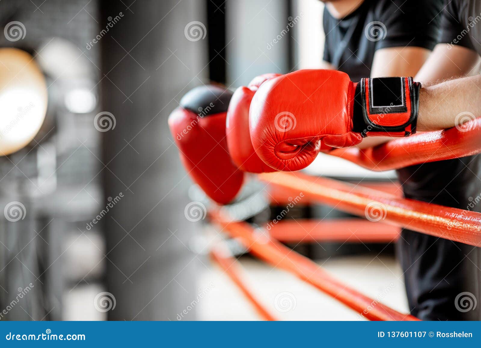 Boxing gloves on the ropes stock image. Image of athletic - 137601107