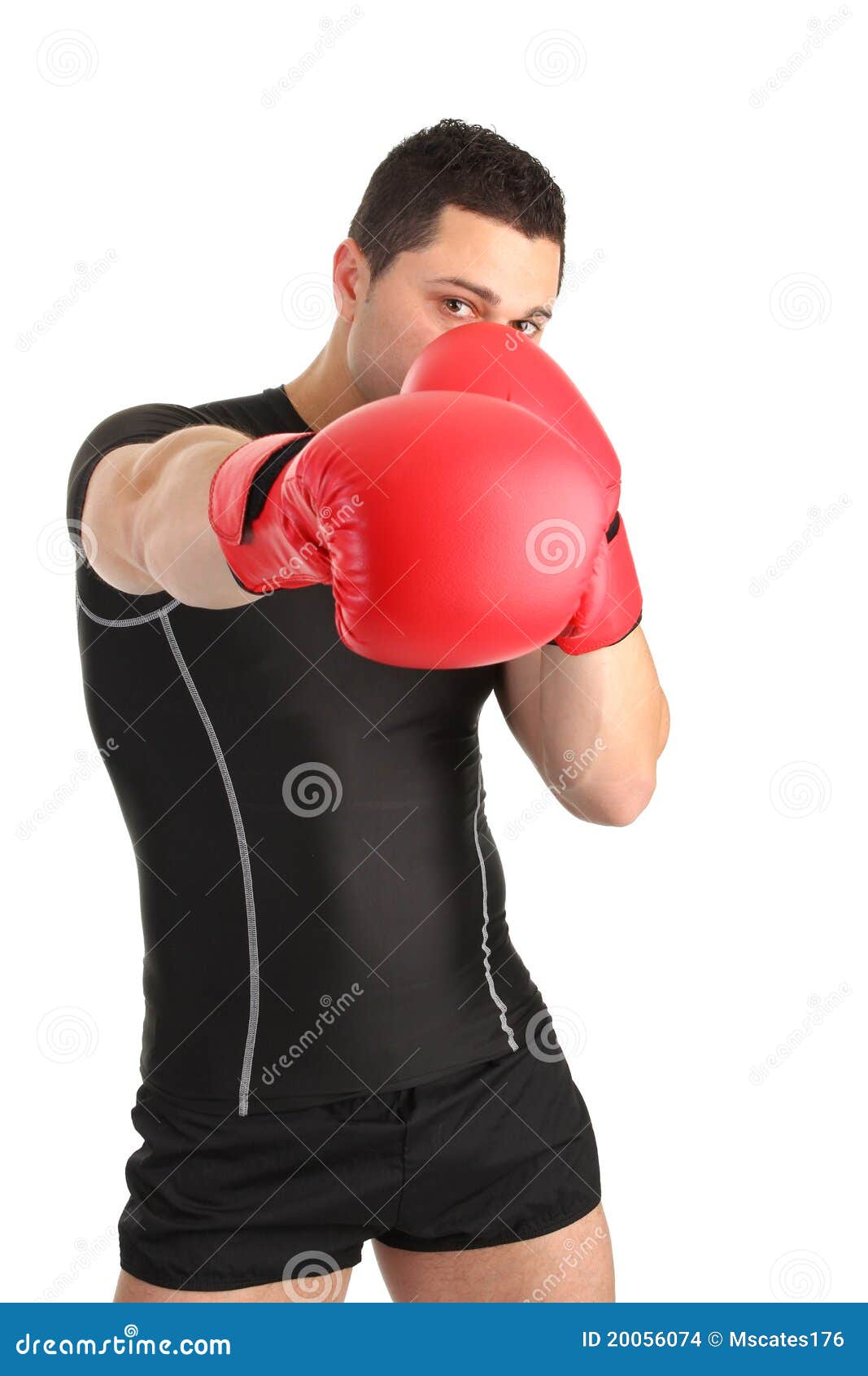 Boxing Guy stock photo. Image of glove, punch, professional - 20056074