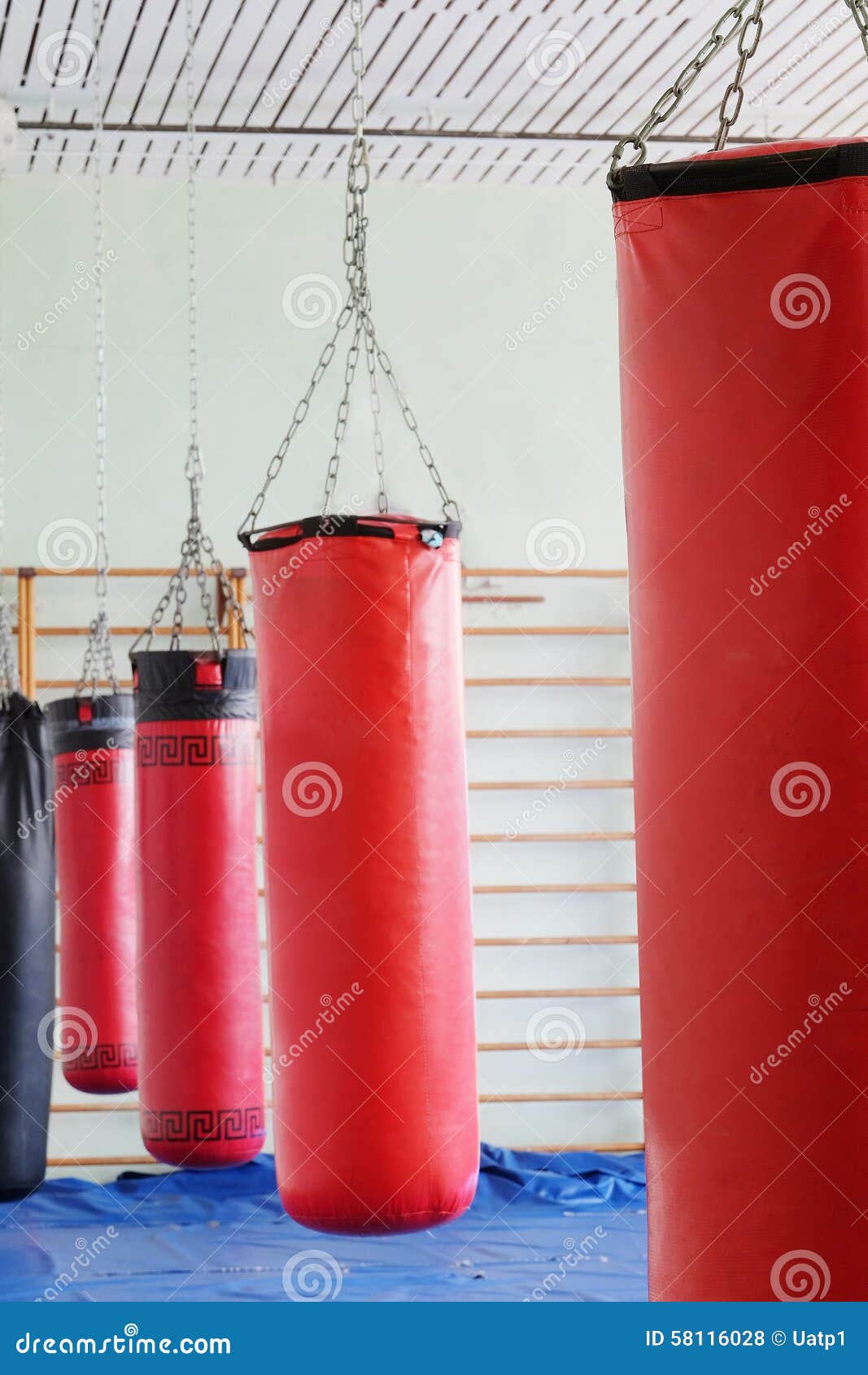 Boxing hall stock photo. Image of competitive, indoors - 58116028