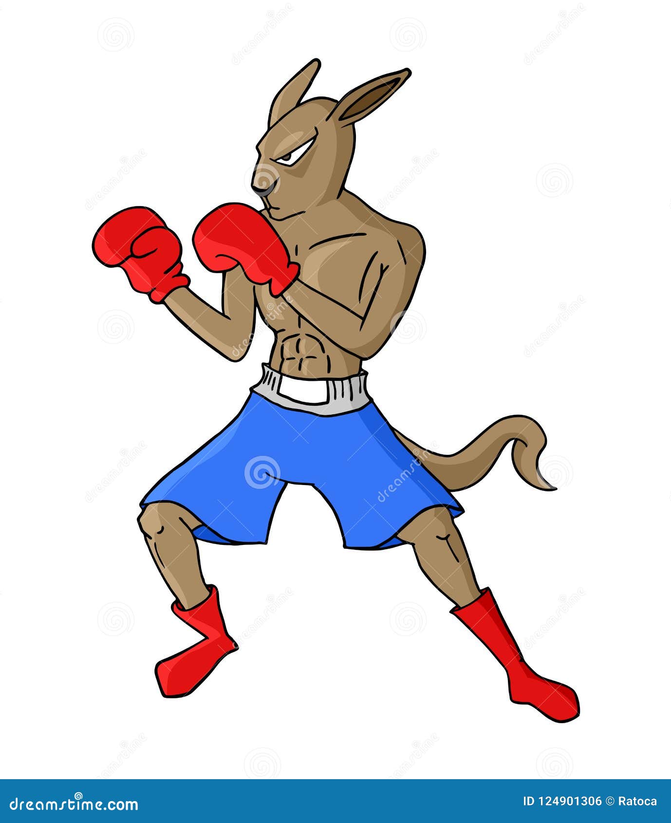 Boxing Kangaroo Illustration Stock Vector - Illustration of marsupial ...