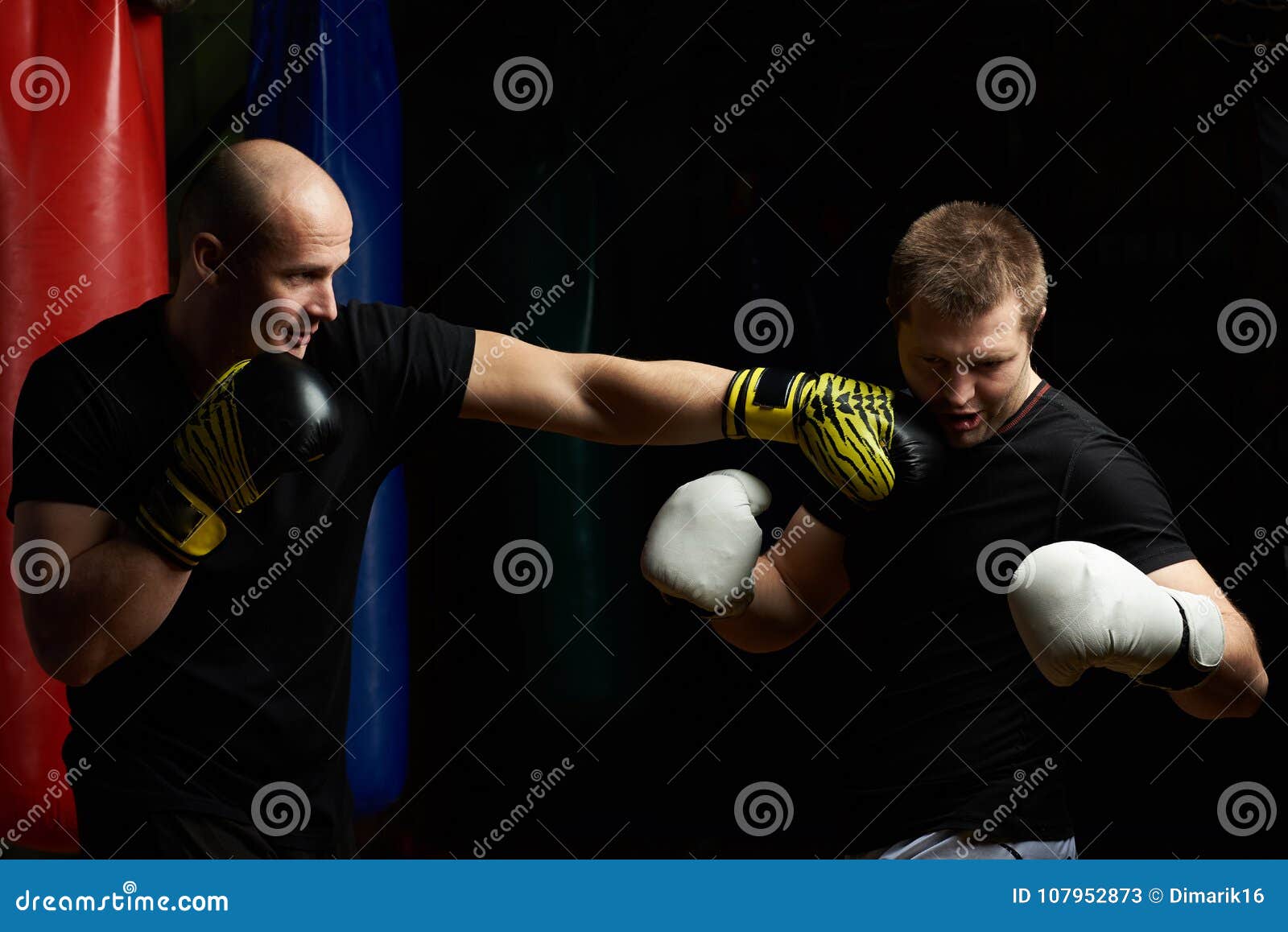 Boxing knockout concept stock image. Image of background - 107952873