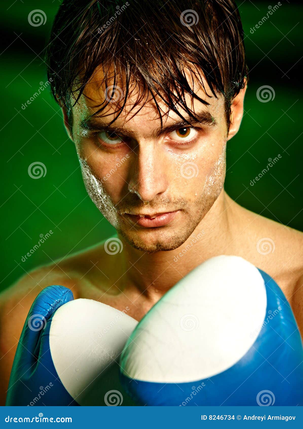 Boxing. Man in Boxing Gloves Stock Photo - Image of person, action: 8246734