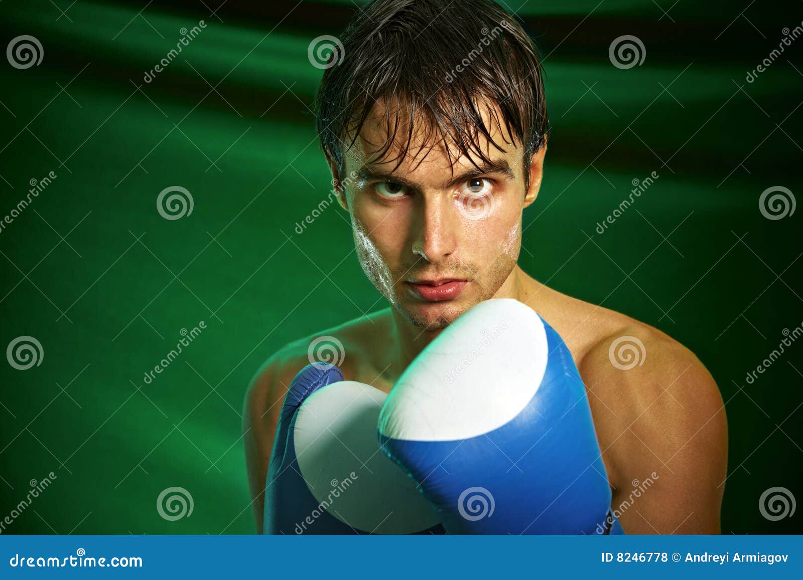 Boxing. Man in Boxing Gloves Stock Photo - Image of male, professional ...