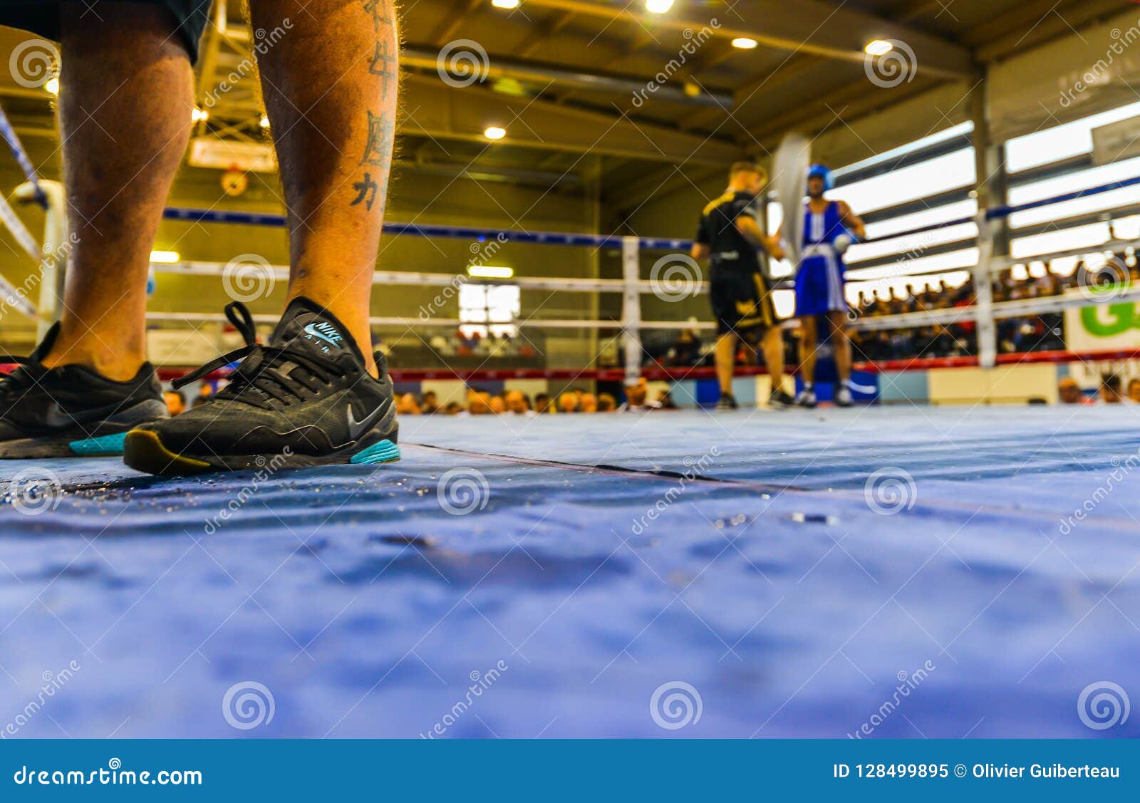 The Boxing Match - Vigo - Spain Editorial Image - Image of professional ...