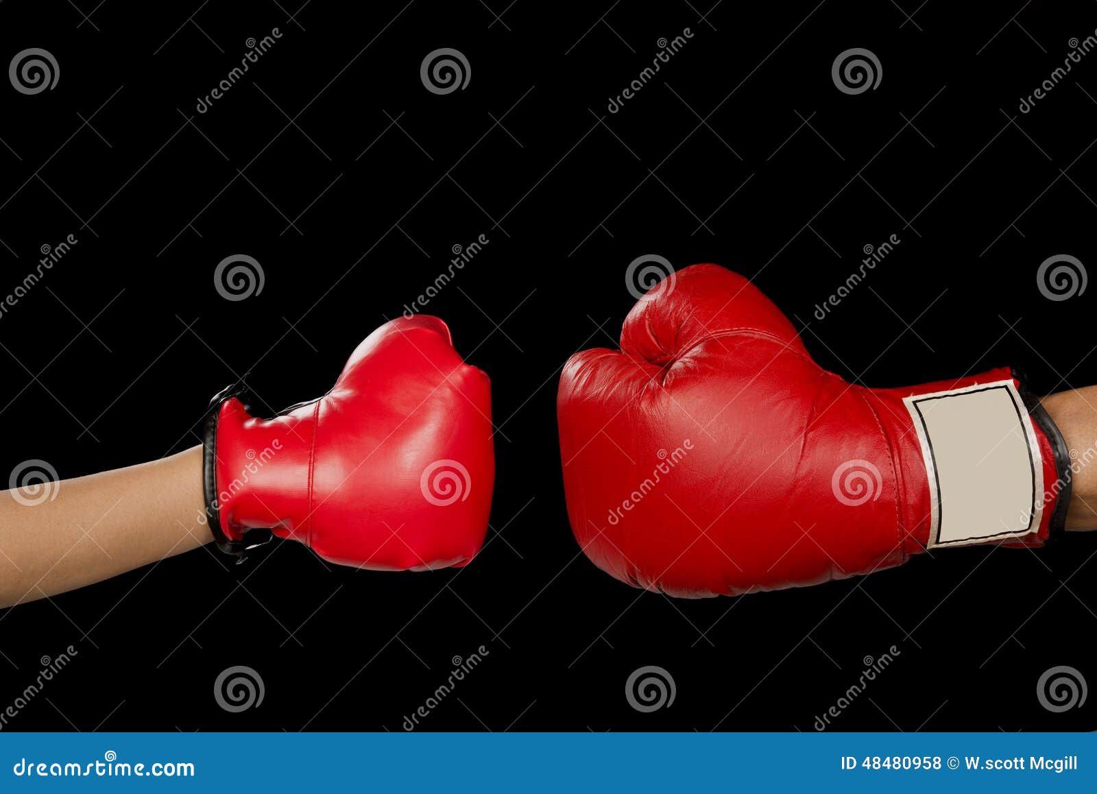 Boxing Match. stock photo. Image of hitting, fitness - 48480958