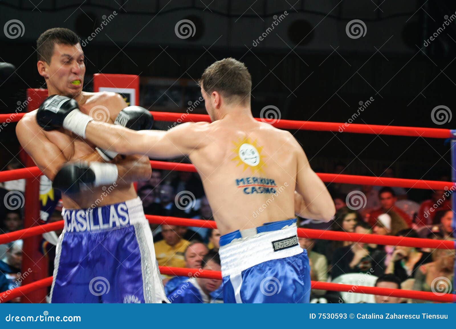 Boxing Match for WBC Intercontinental Title Editorial Stock Photo ...