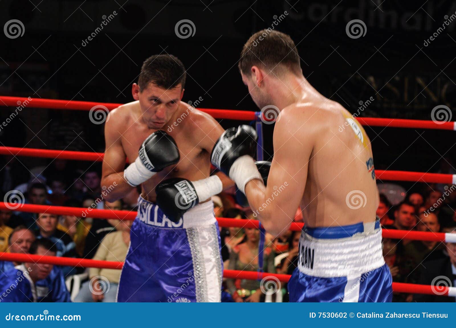Boxing Match For WBC Intercontinental Title Editorial Photography ...