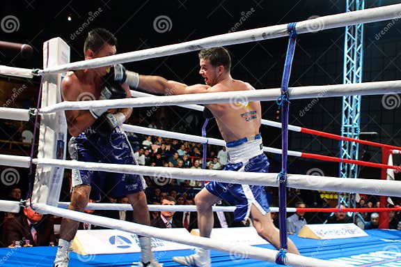 Boxing Match for WBC Intercontinental Title Editorial Stock Photo ...