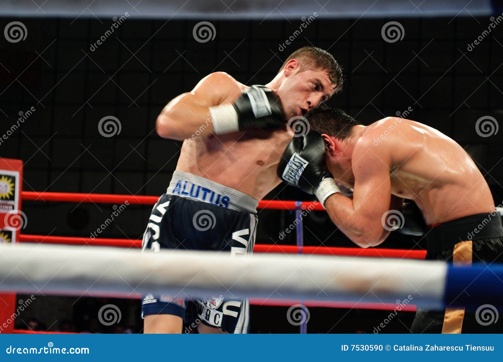 Boxing Match Editorial Photo | CartoonDealer.com #93932361