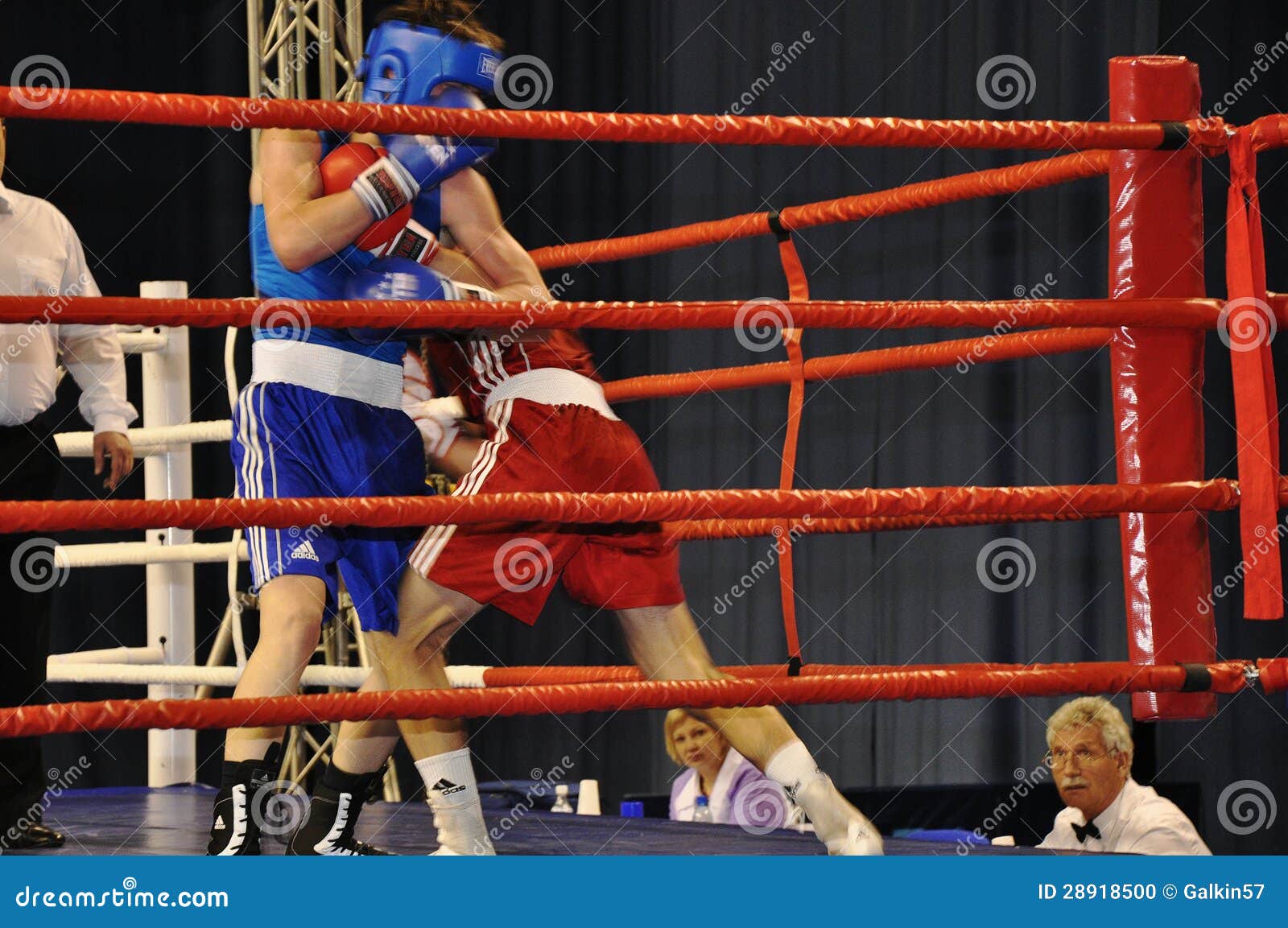 Boxing for men editorial image. Image of looking, muscle - 28918500