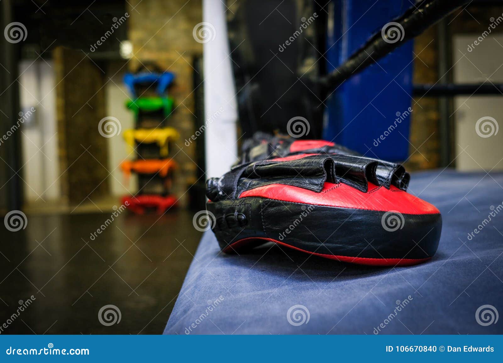 Boxing pads stock photo. Image of protection, fighting - 106670840
