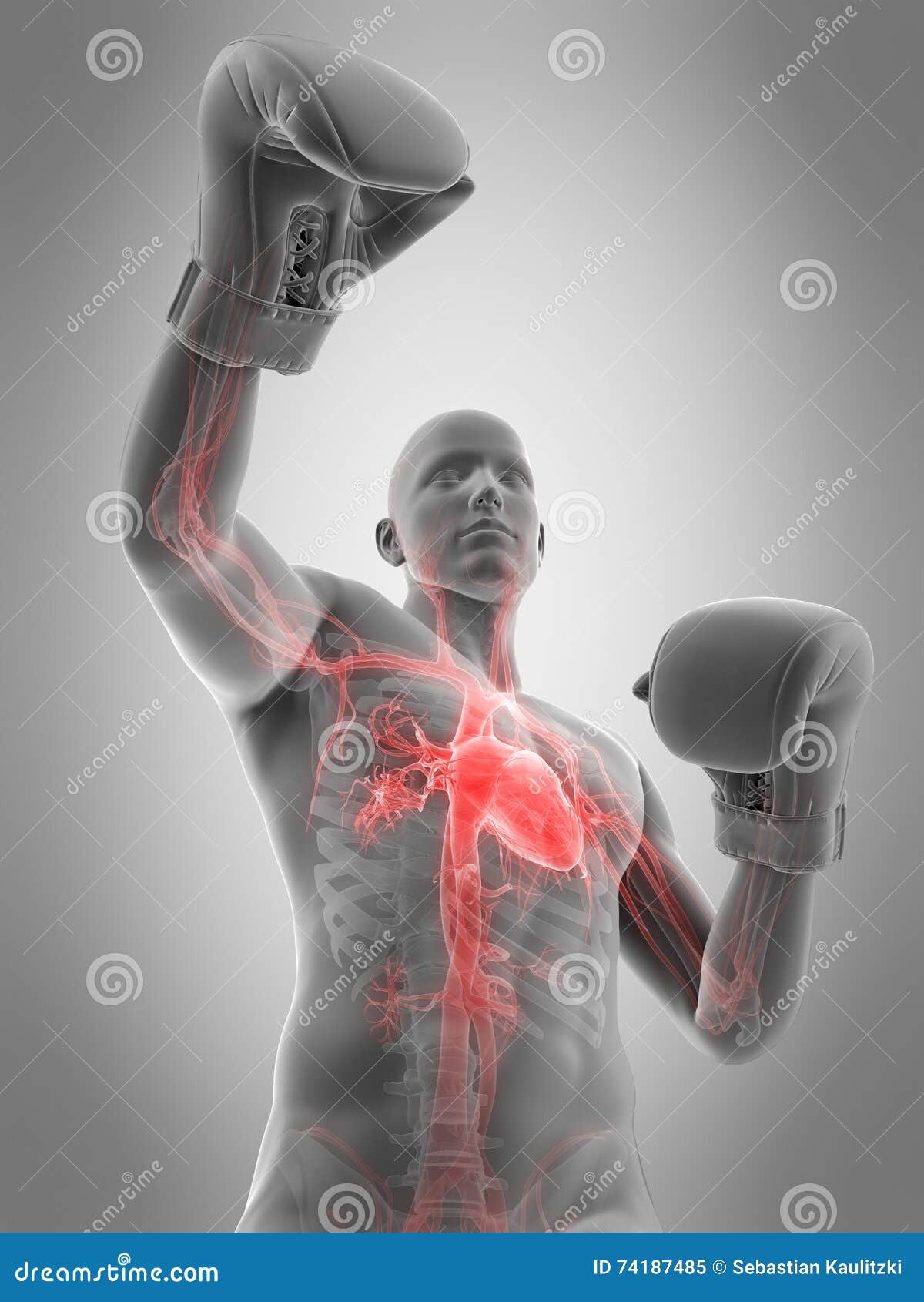 A boxing pose stock illustration. Illustration of boxing - 74187485