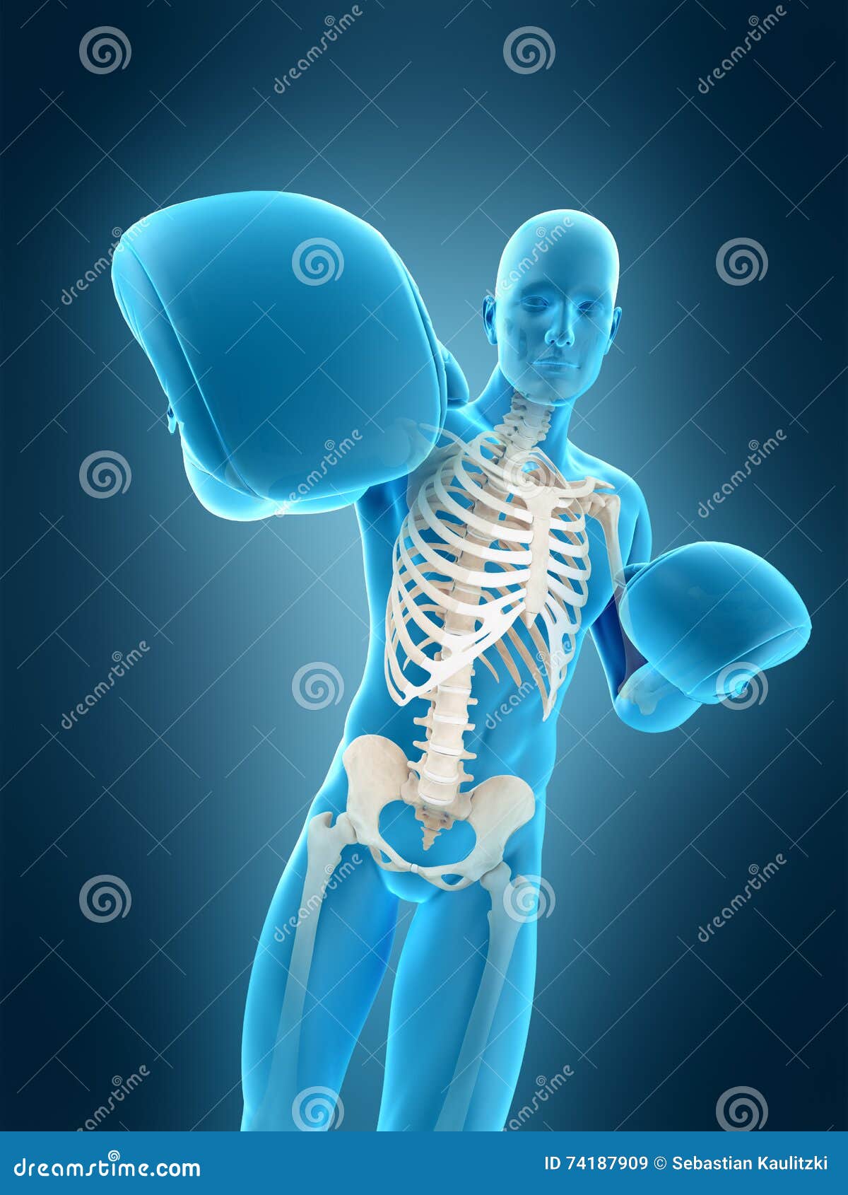 A boxing pose stock illustration. Illustration of posture - 74187909